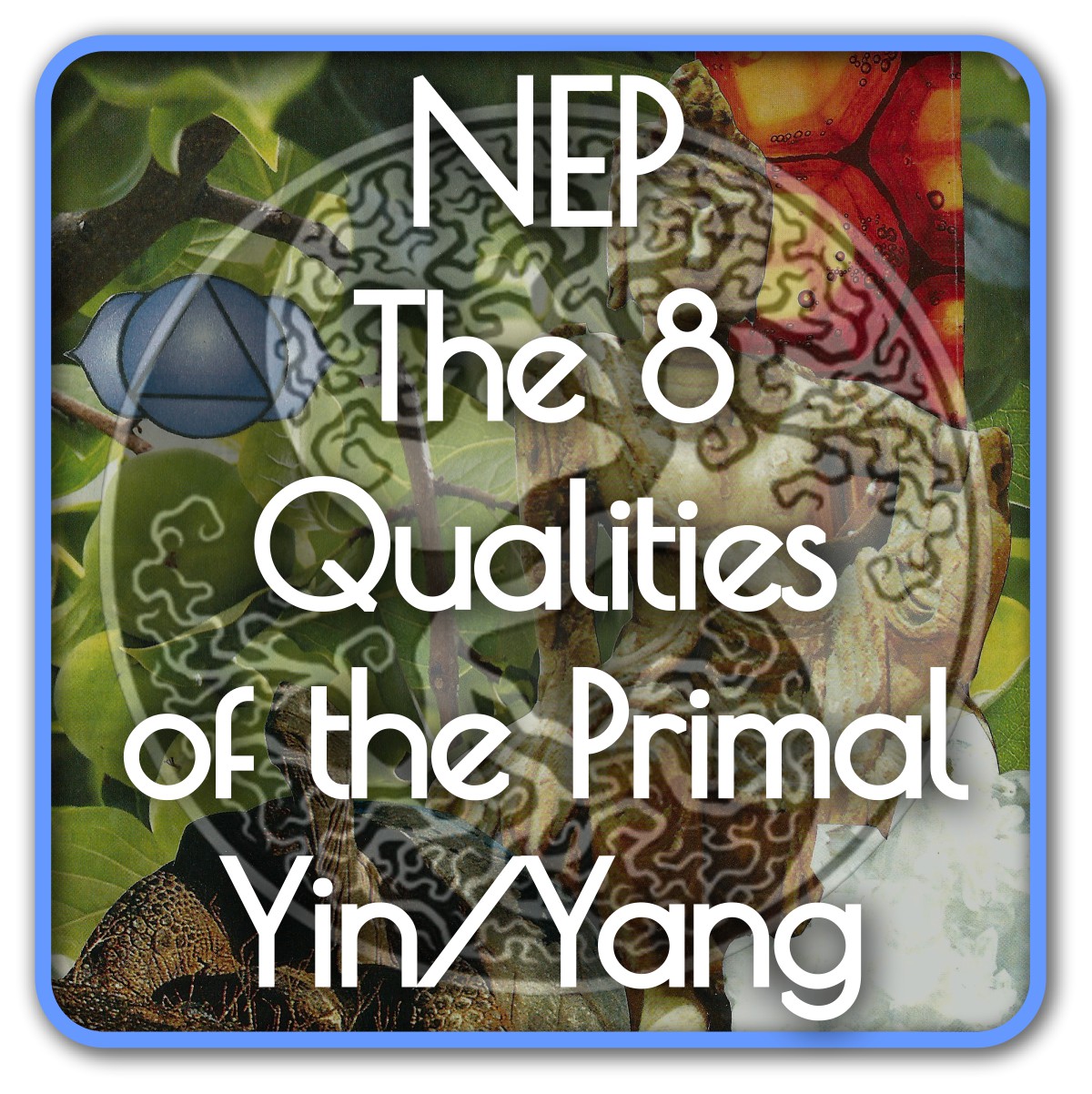 NEP - The 8 Qualities of the Primal Yin/Yang - Daughters of Earth™